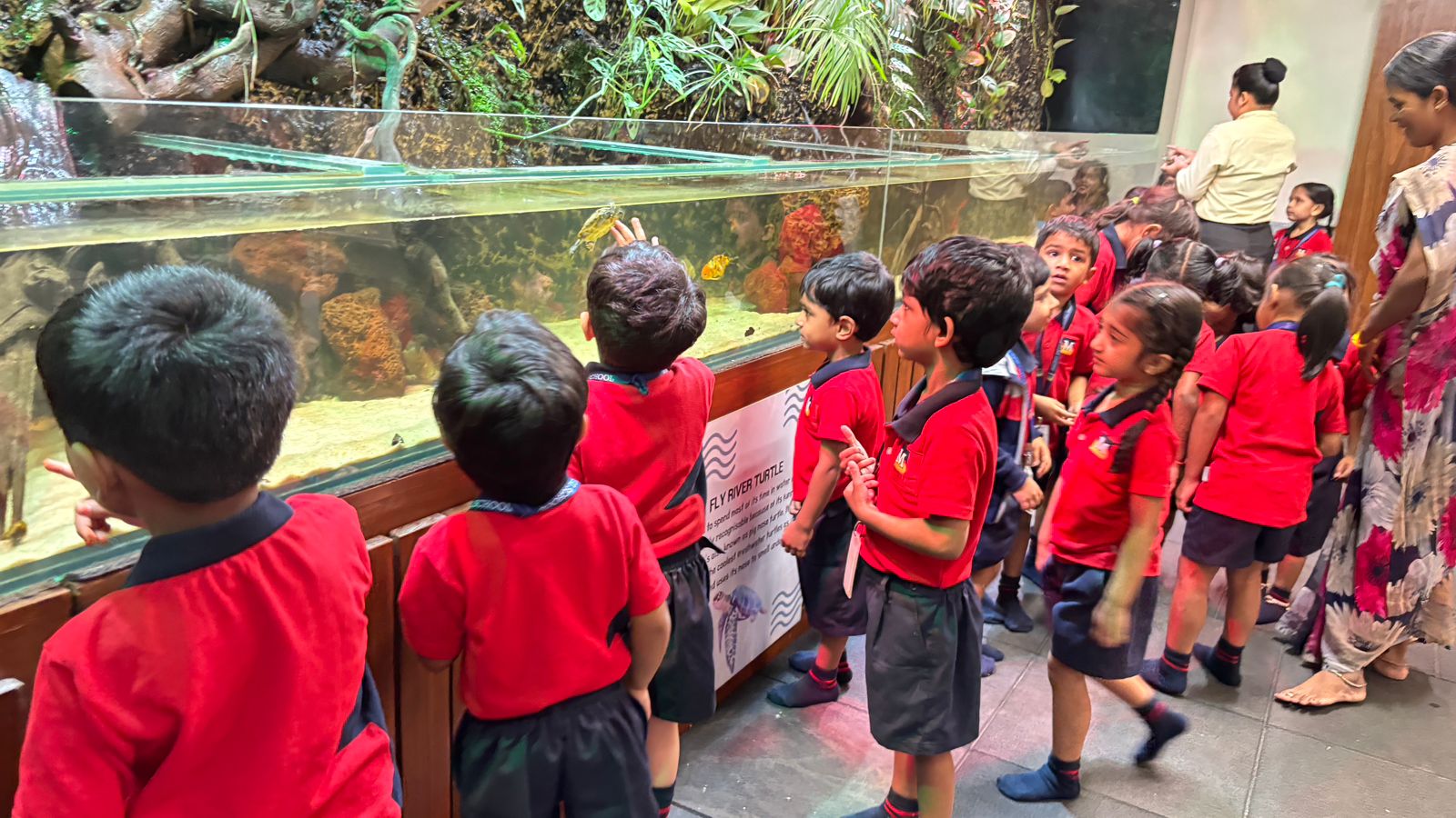 MERU CSR | Meru International School
